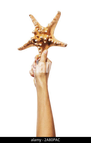 The hand holds a seashell. Marine background Stock Photo - Alamy