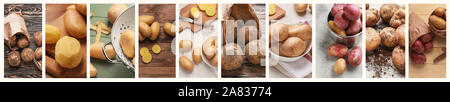 Collage of photos with raw potatoes Stock Photo - Alamy