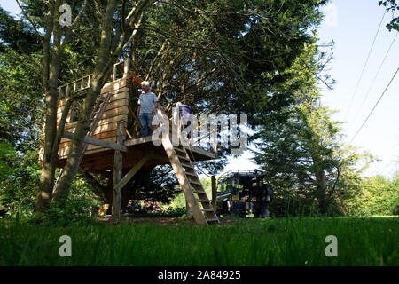 A family building a treehouse in their garden, England, UK Stock Photo ...
