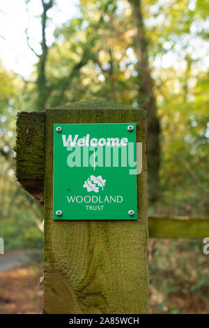 Staffhurst Wood, Surrey, England UK Stock Photo - Alamy