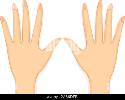 human women body raised hands hugging cartoon vector illustration ...