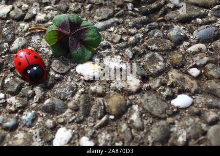 The picture shows the best of luck Stock Photo - Alamy