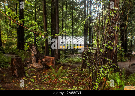 Cabin in the Woods in Seattle Stock Photo - Alamy