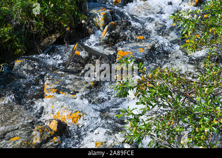 Mountain stream with yellow stones. Rapid flow of river, boiling water ...