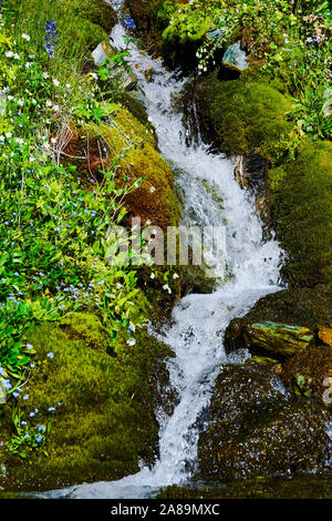 A thin stream Stock Photo - Alamy