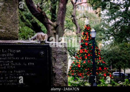 A squirrel sits on a statue at Bienville Square, Dec. 18, 2017, in ...