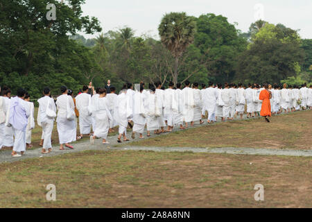 Buddhist nun meditating Stock Photo - Alamy