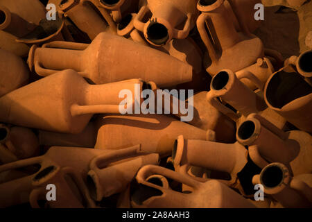 History is the study of the past as it is described in written ...