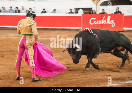 Bullfighting Matador muleta sword fighting bull impaled banderillas ...