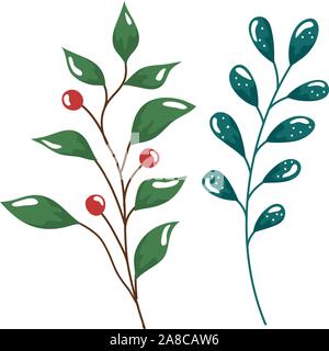 branches with leafs and seeds isolated icon Stock Vector Image & Art ...