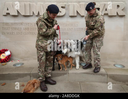 The Royal Army Veterinary Corps (RAVC) mounted riders, some of whom are ...