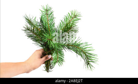 Christmas background hand new year coniferous branches presents winter ...