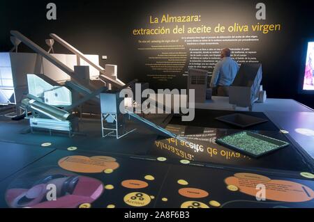 TERRA OLEUM, Olive oil museum, Mengibar, Jaen province, Region of ...