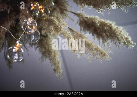 Bottom view composition of reeds and a garland of light bulbs ...