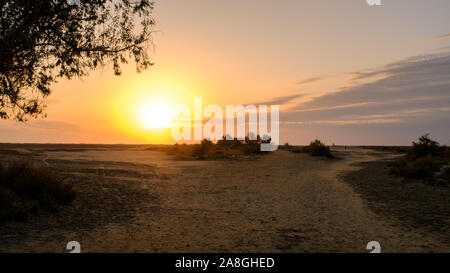 Sandy beach at sunset in the Camargue, Espiguette beach Stock Photo - Alamy
