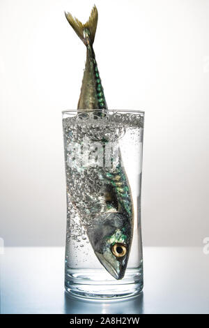 a fish inside a glass with mineral water Stock Photo - Alamy