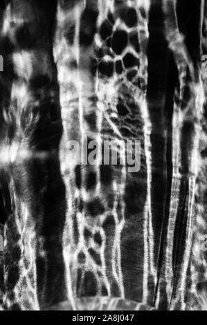 Reflections of sunlight creating abstract patterns on water surface ...