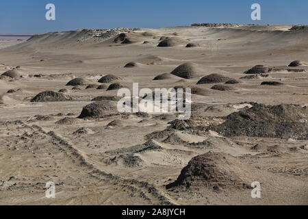 Field of rounded yardangs-wind eroded rock surfaces. Qaidam desert ...