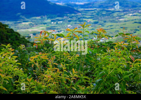 China Sanya Hainan Aireal Landscape View with blue sky and clouds Stock ...