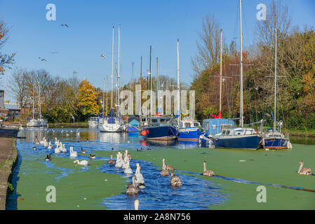 Spike island yacht haven on the Sankey canal at Widnes Stock Photo - Alamy