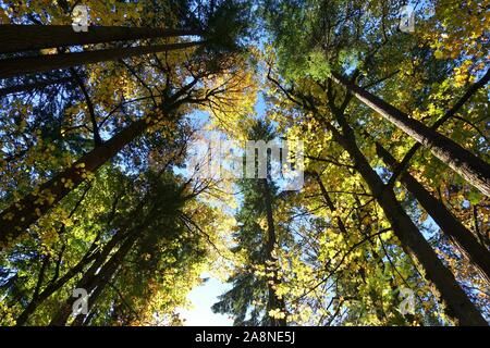 Autumn view of the landmark Portland Japanese Garden in Portland ...