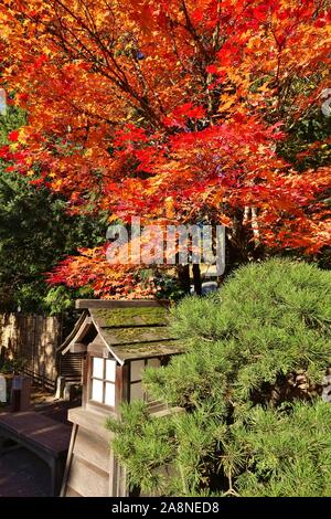 Autumn view of the landmark Portland Japanese Garden in Portland ...