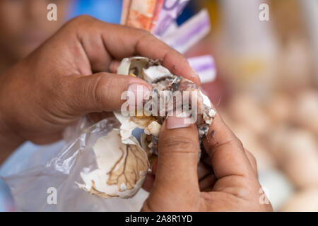 Common street food in the Philippines known as Balut,a boiled ...