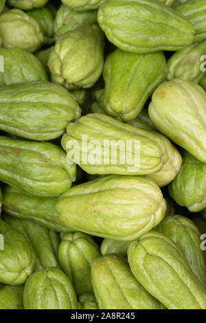 Chayote (Sechium edule) fruit also known as Chow Chow Cho-Cho or Cho ...
