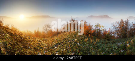 Slovakia forest autumn panorana landscape with mountain at sunrise ...