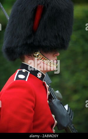 British soldier in traditional red uniform, rifle and tall black fuzzy ...