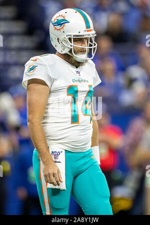 Miami Dolphins quarterback Ryan Fitzpatrick (14) gestures during ...
