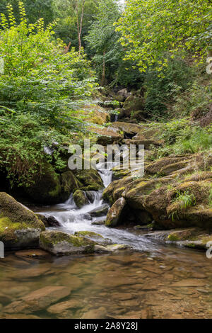 Long exposure of the West Lyn river flowing through the woods at Glen ...