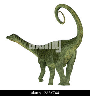 Saltasaurus was a herbivorous sauropod dinosaur that lived in Argentina ...