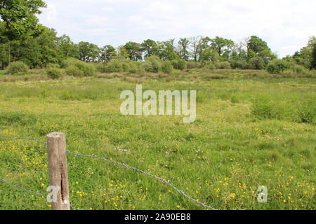 prairie in the countryside around nantes (france Stock Photo - Alamy