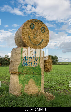 Bales of straw, Schleswig-Holstein, Germany Stock Photo - Alamy