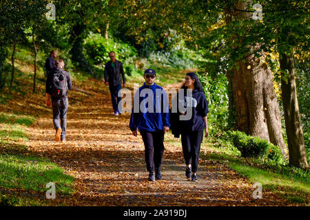 People Walking Along Tree Lined Path Through The Green Park London ...