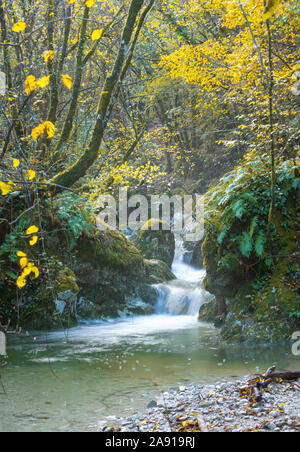 Mountain stream with waterfalls. During autumn Stock Photo - Alamy