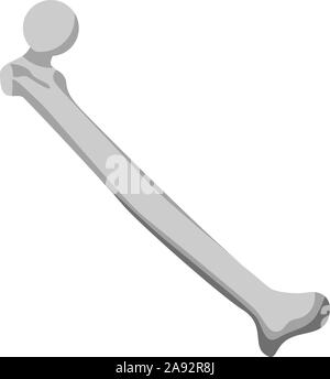 femur bone isometric icon vector illustration Stock Vector Image & Art ...