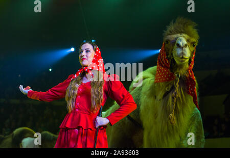 performance of trained camels in the circus arena Stock Photo - Alamy