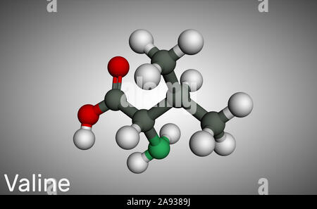 Valine (l-valine, Val, V) amino acid molecule. 3D rendering. Ball and ...