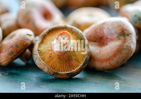 Fresh Spruce Milkcap mushrooms on wooden table Stock Photo - Alamy