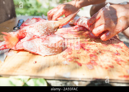 Male chef cleaning and preparing fresh raw fish for cooking Stock Photo ...