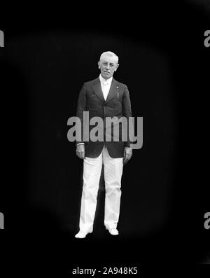 WOODROW WILSON 1856 - 1924 STANDING BEFORE BATTLE SCENE ANNOUNCING ...