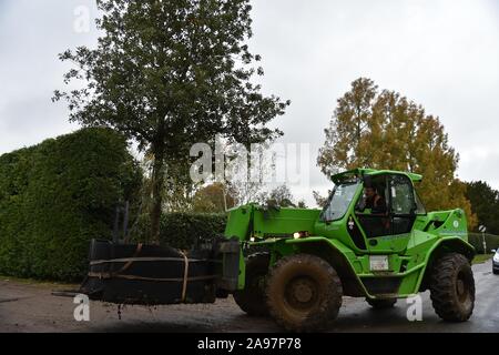 Tree nursery worker using heavy lifting equipment Stock Photo - Alamy