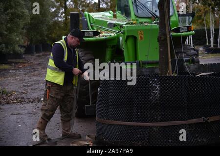 Tree nursery worker using heavy lifting equipment Stock Photo - Alamy