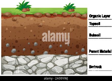 Diagram showing different layers of soil Stock Vector Image & Art - Alamy