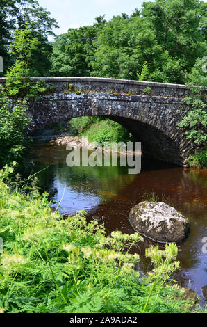 Hubberholme Bridge over the River Wharfe, North Yorkshire Stock Photo ...