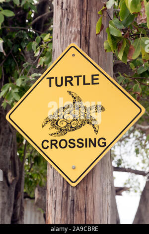 Yellow warning sign TURTLE CROSSING, turtles crossing the beach for ...