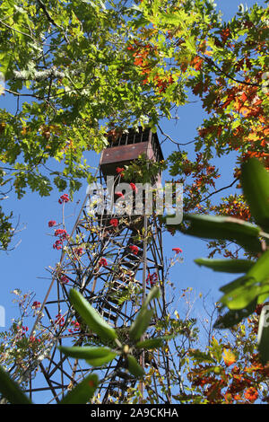 The old fire tower at the Channels Natural Area Preserve in VA, USA ...