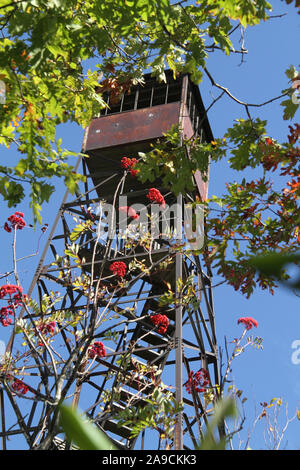 The old fire tower at the Channels Natural Area Preserve in VA, USA ...